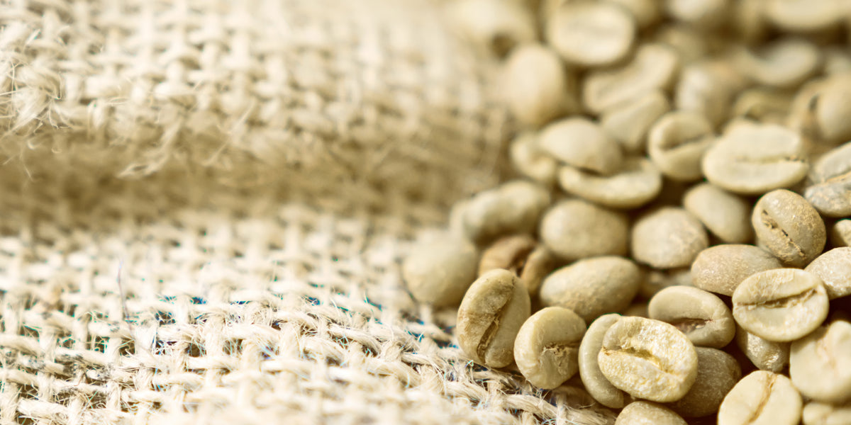 The Coffee Cellar — thevault.ph