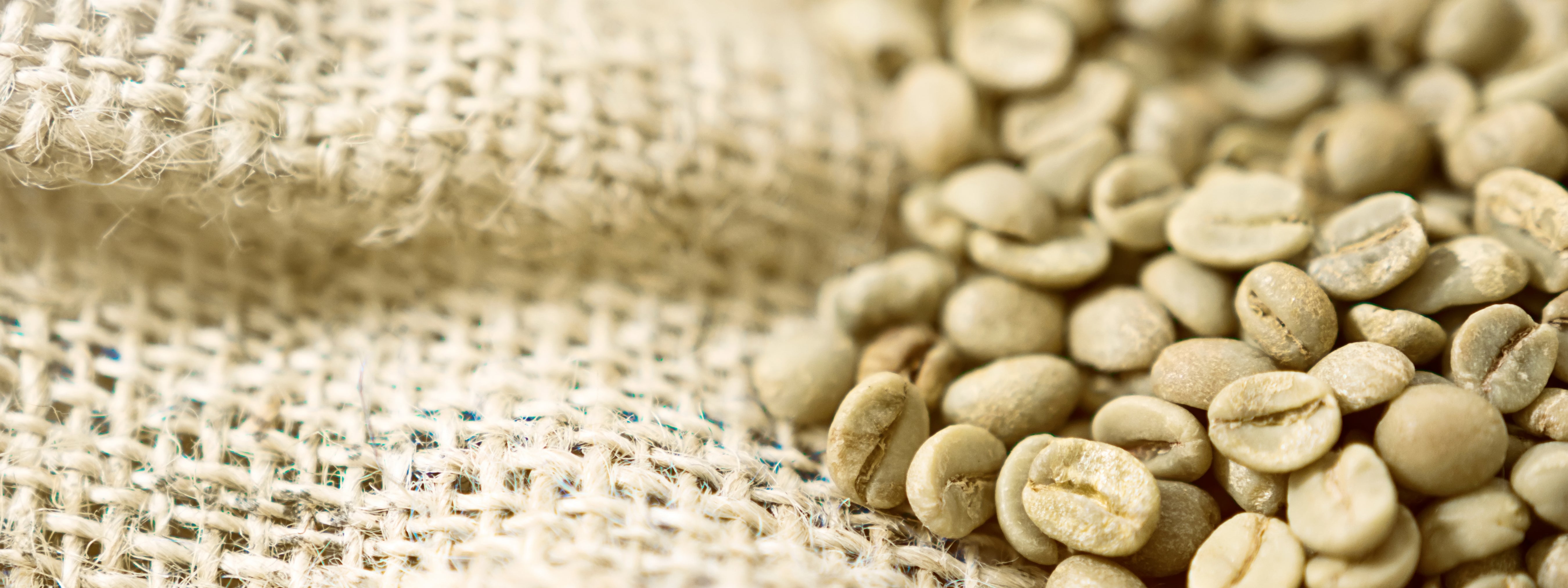 The Coffee Cellar — thevault.ph